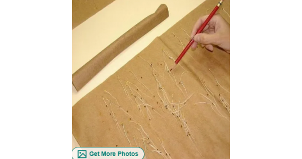 Buy Seed Germinating Testing Paper get price for lab equipment