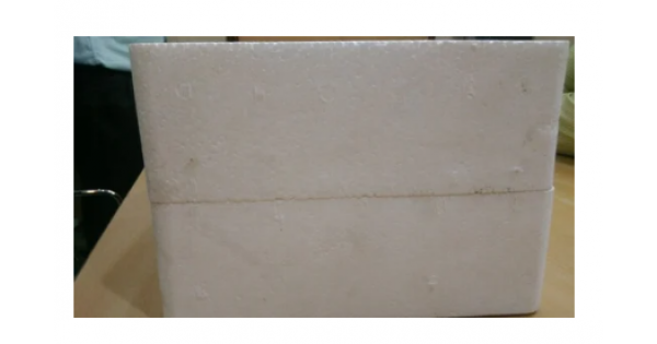 Buy Scientific Thermocol Box get price for lab equipment