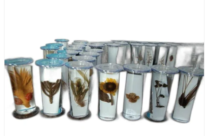 Buy Lab Speciman jar get price for lab equipment