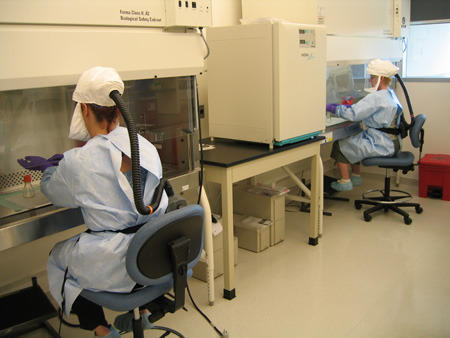 Buy BSL-III Lab get price for lab equipment