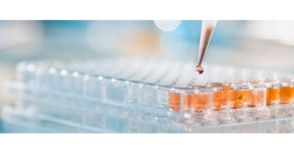 Buy BIO ANALYTICAL SERVICES get price for lab equipment
