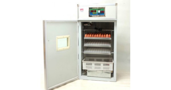 Buy INCUBATOR get price for lab equipment