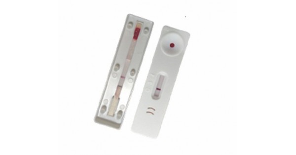 Buy Blood Separation Pad get price for lab equipment