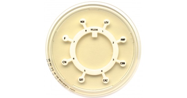 Buy Antibiotic Susceptibility Disc get price for lab equipment
