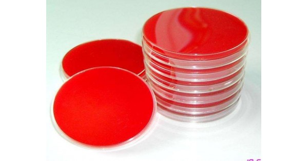 Buy Ready To Use Culture Media Plates get price for lab equipment