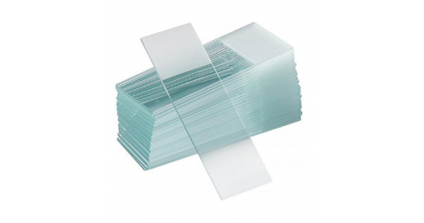 Buy PLAIN SLIDE get price for lab equipment